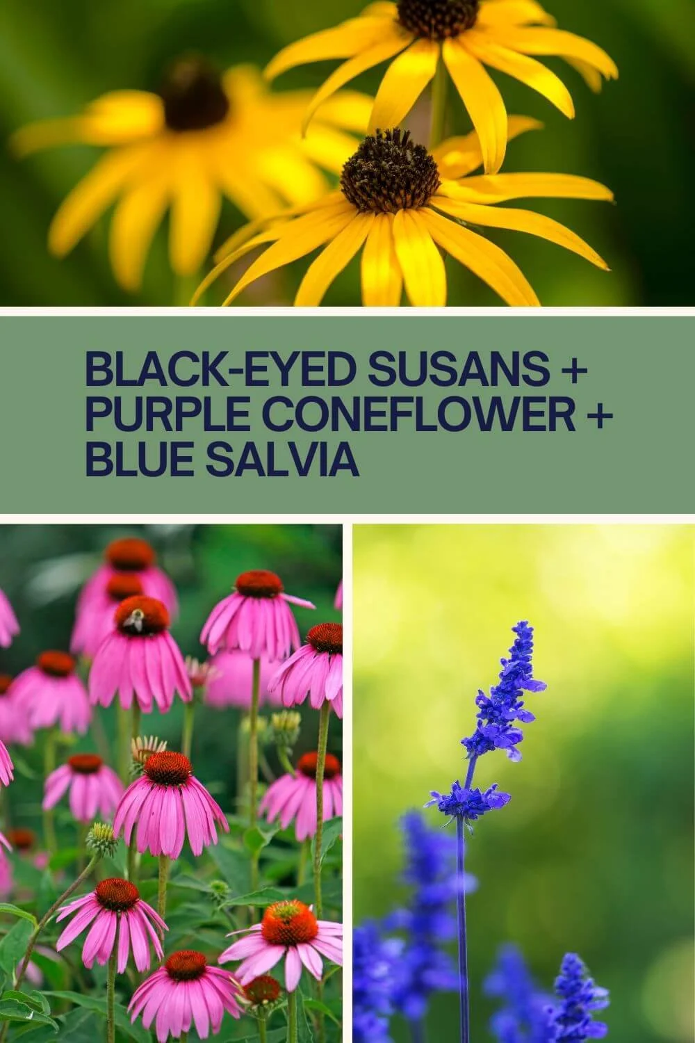 Plant This with That: Flower Pairings for a Gorgeous Garden