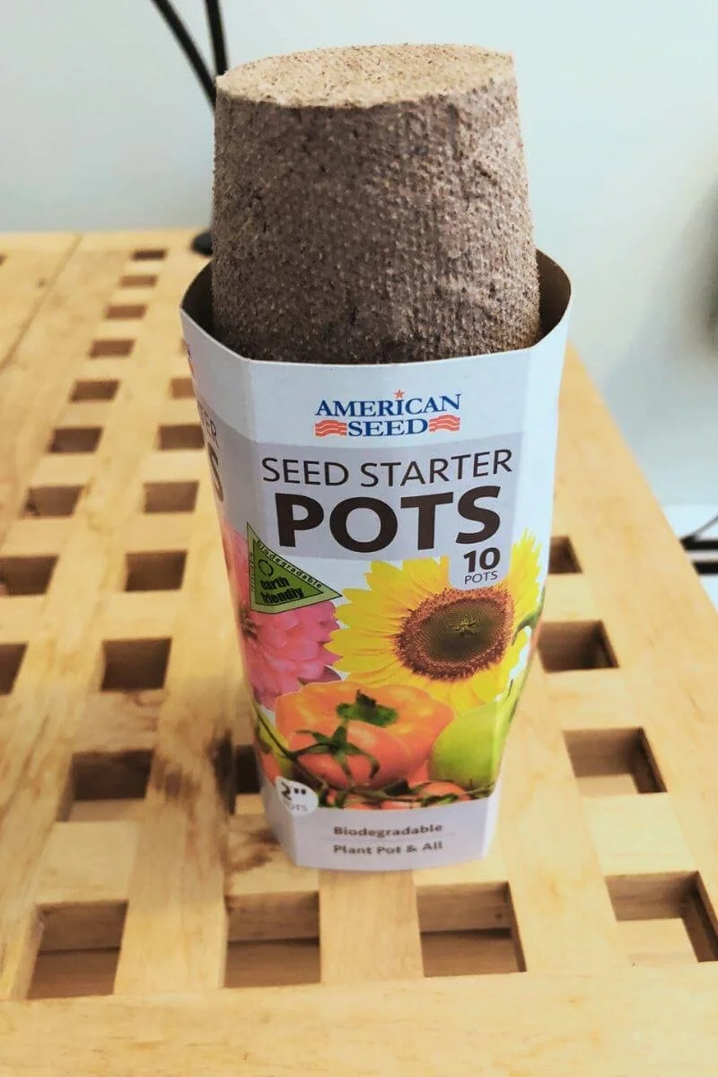 Seed Starting Simplified: The Essential Indoor Setup for Beginners