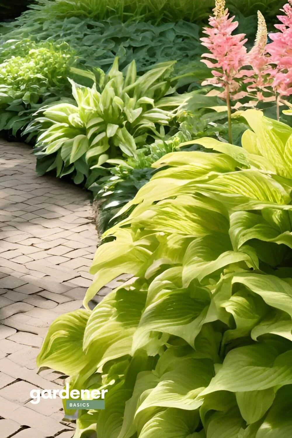 Hostas Landscaping: The Easiest Way to Create a Stunning Shade Garden