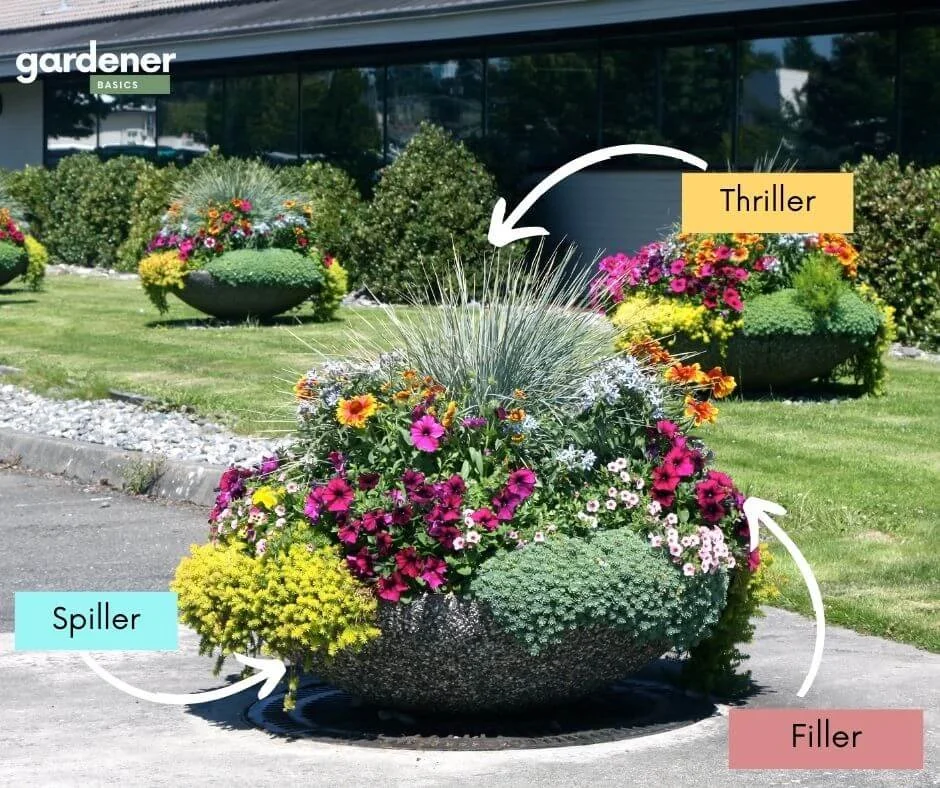 How to Create Stunning Container Flowers Like a Pro