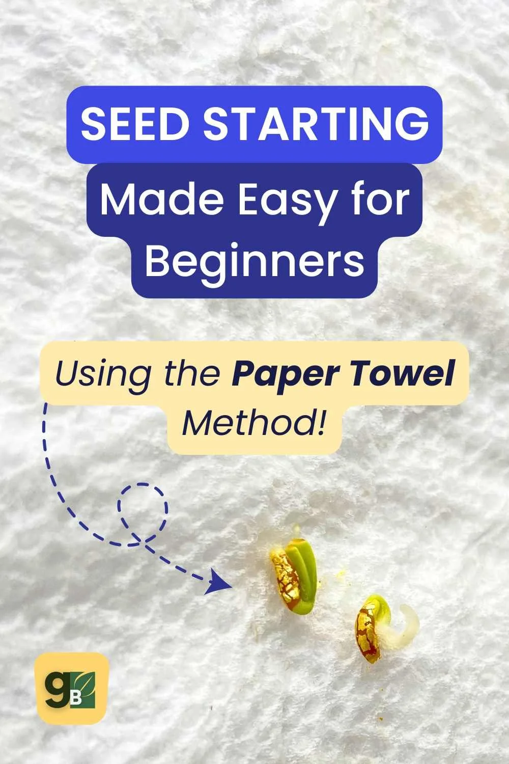 The Must-Know Guide to Germinating Seeds with Paper Towels
