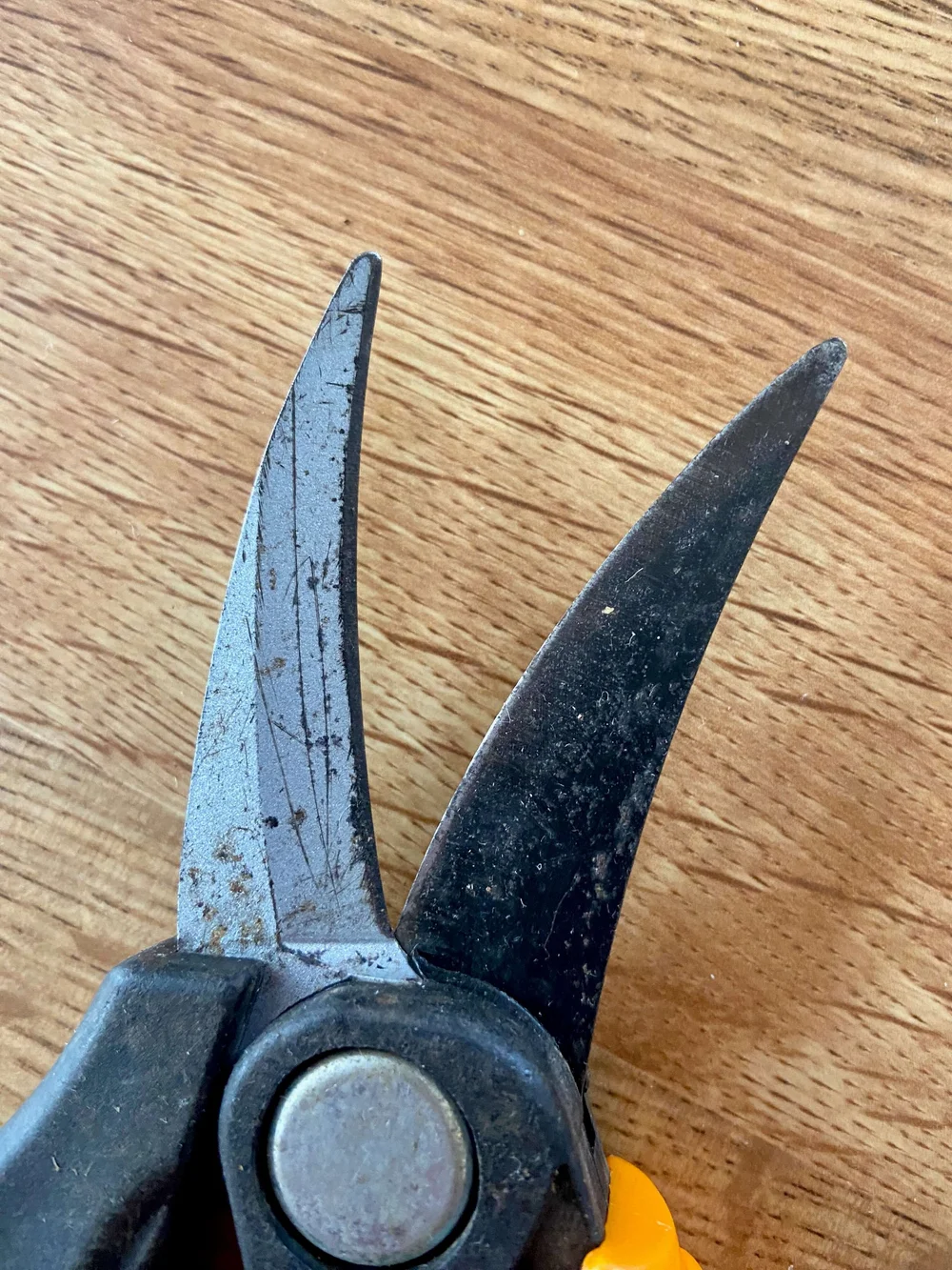 The Best Way to Keep Your Gardening Tools Sharp: A Review of SHARPAL