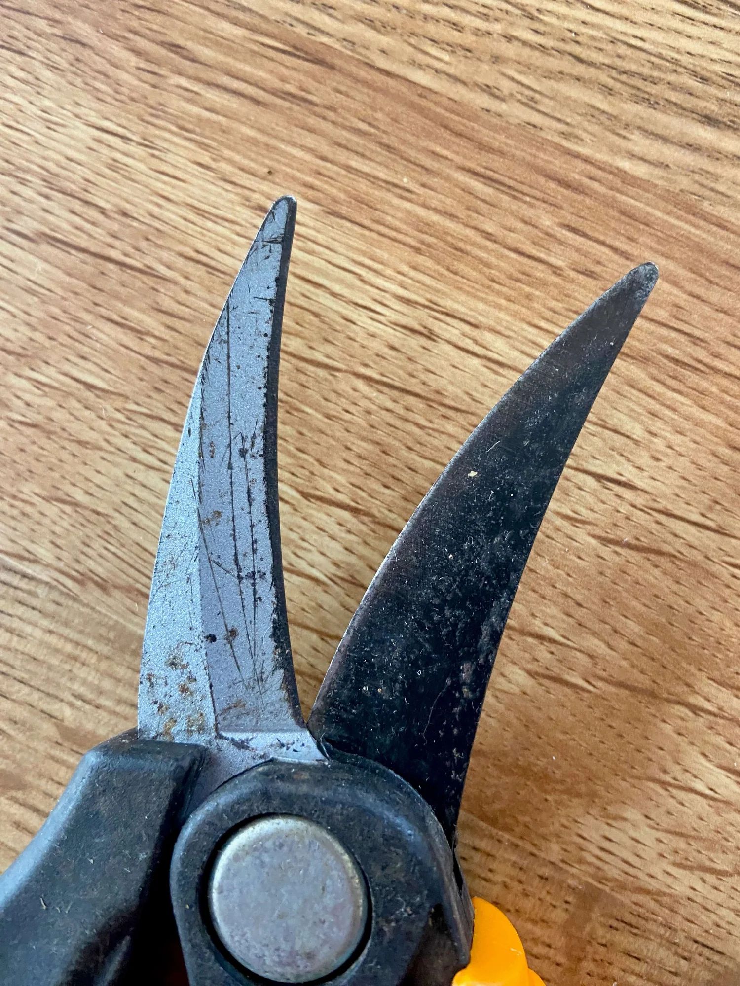 The Best Way to Keep Your Gardening Tools Sharp: A Review of SHARPAL