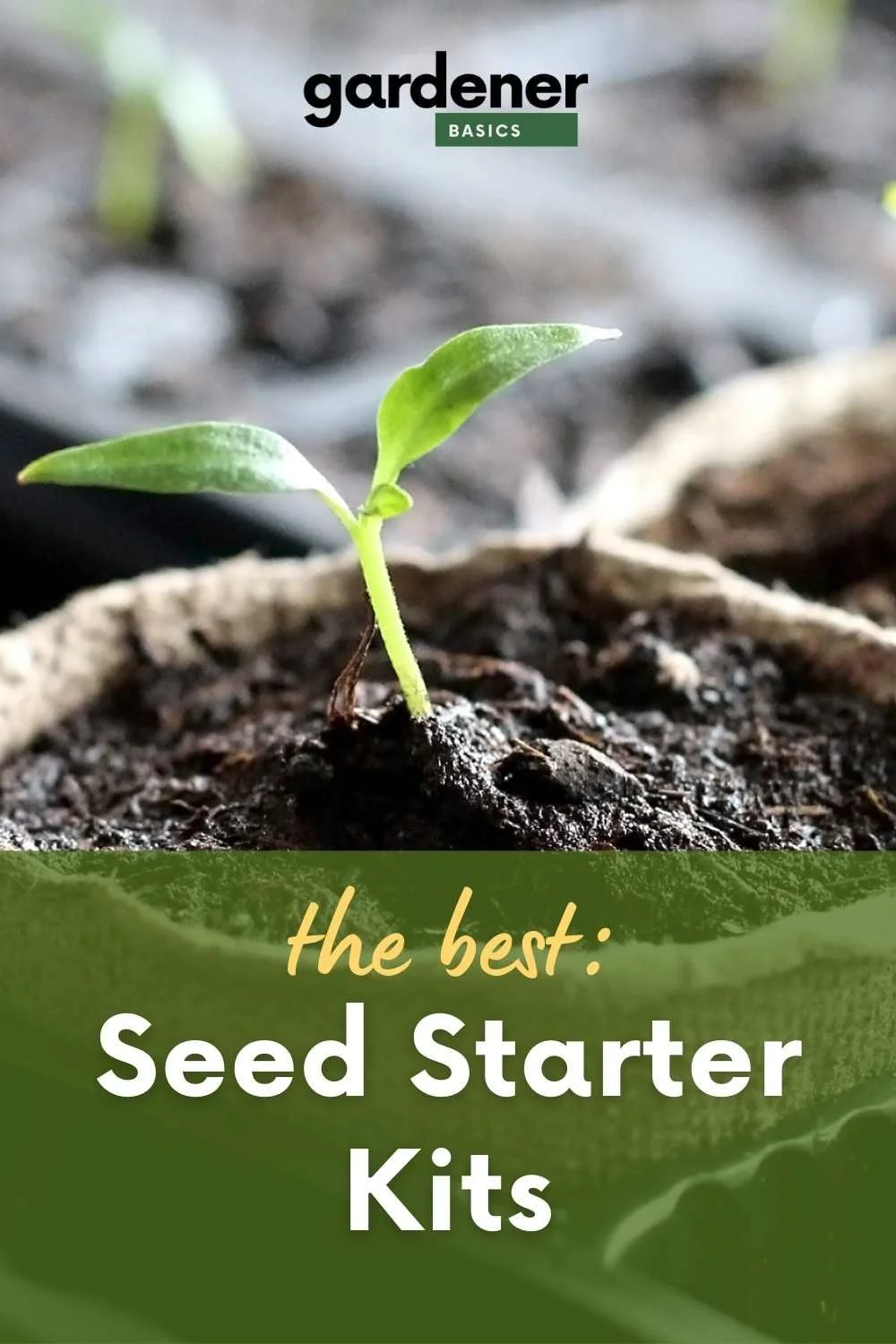 The Best Seed Starter Kits: A Detailed Review