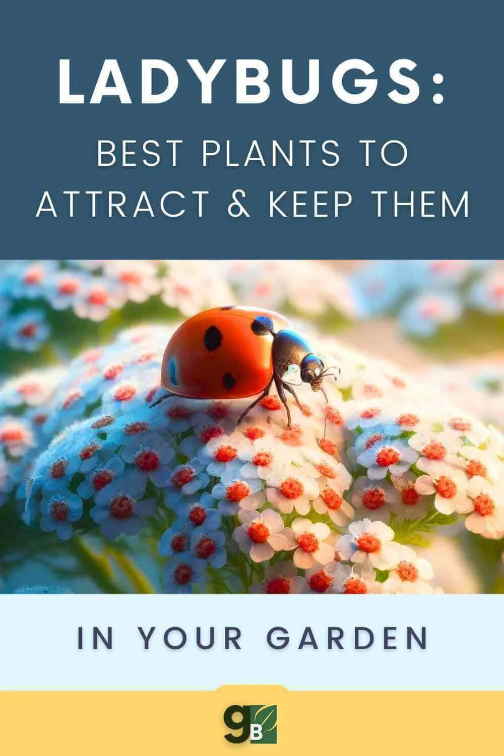 Top Plants to Naturally Attract Ladybugs