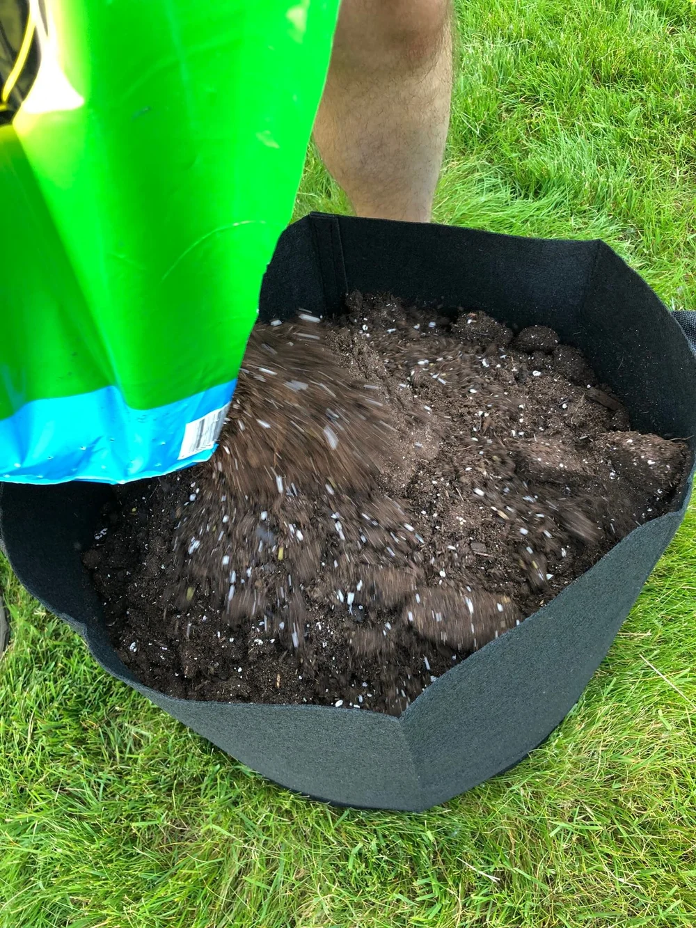 Growing Watermelon in Grow Bags: A Step-by-Step Guide