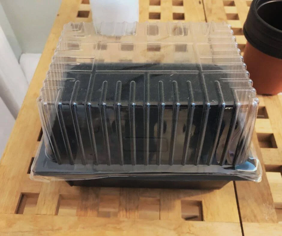 Seed Starting Simplified: The Essential Indoor Setup for Beginners