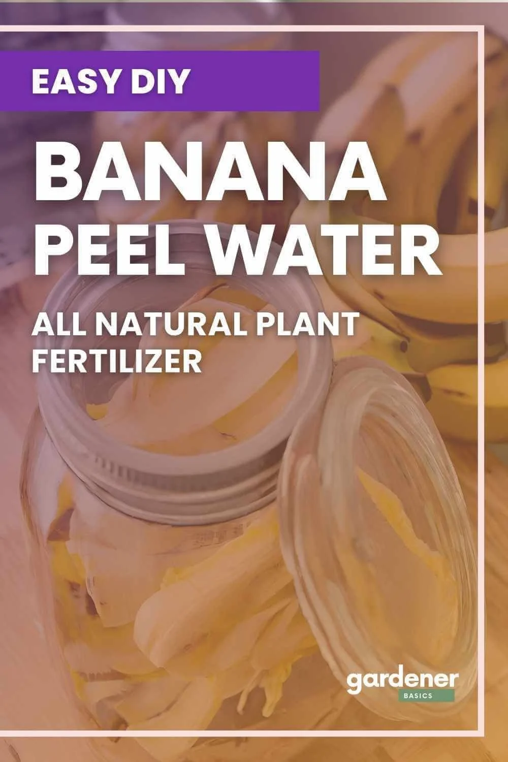 Go Green: Boost Your Garden Naturally with Banana Peel Water