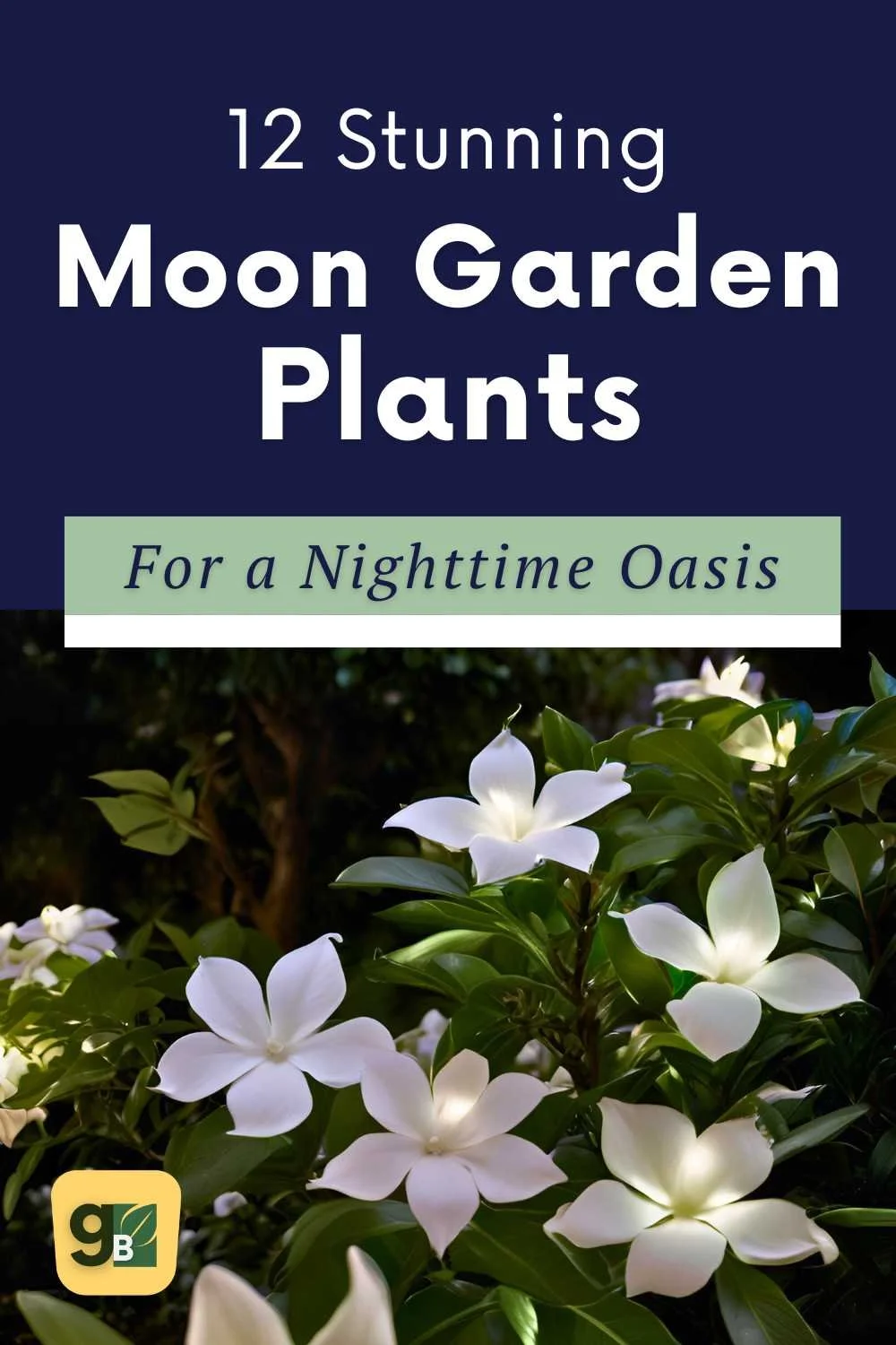 How to Grow a Moon Garden: Flowers That Glow and Smell Amazing at Night