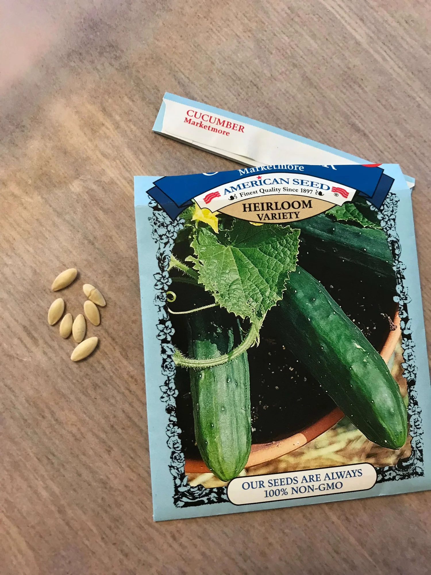 Plant Smarter, Not Harder: Starting Cucumber Seeds Indoors the Easy Way