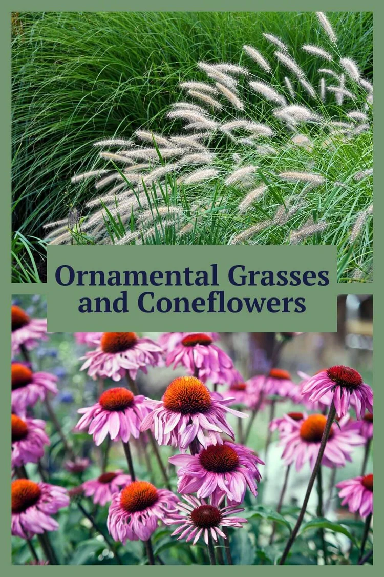 Landscape Border Ideas That Beginners Will Love (And Can Actually ...