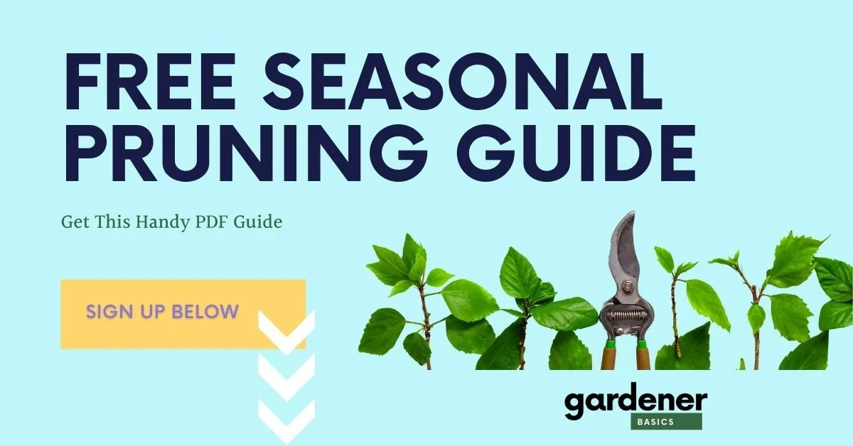 Bolting Basics: What It Is and How to Keep Your Garden in Check