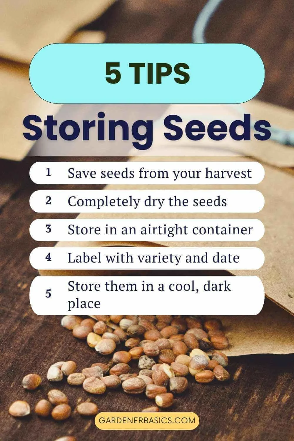 Storing Seeds for Next Year: Secrets to Success