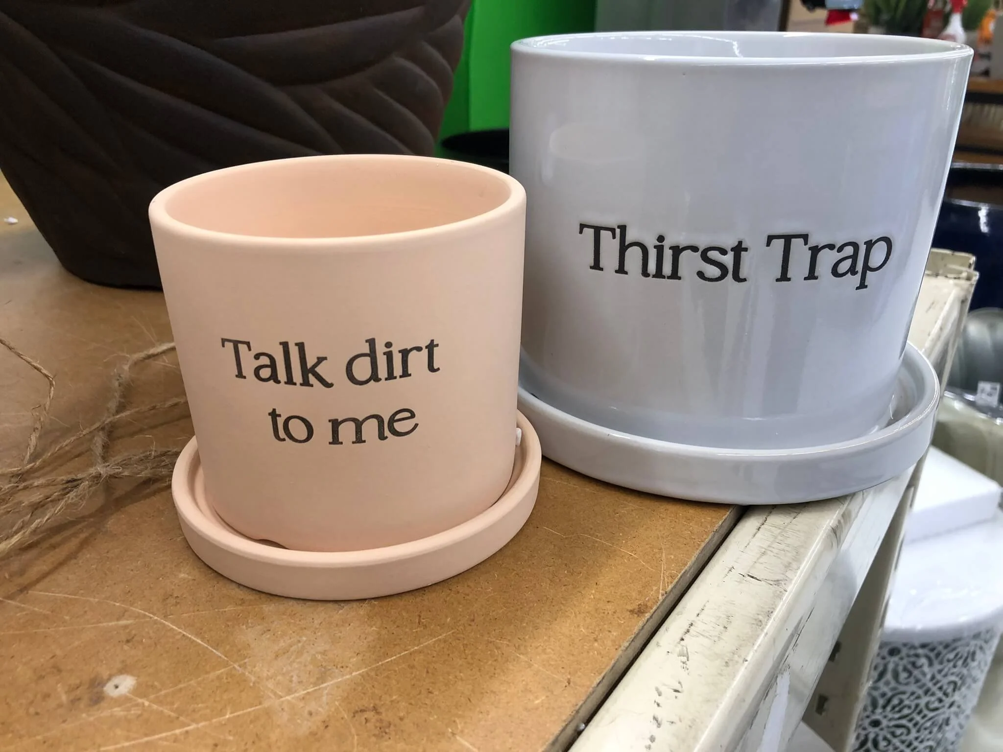 Pots of Laughs: The Best Ceramic Plant Pots with a Sense of Humor