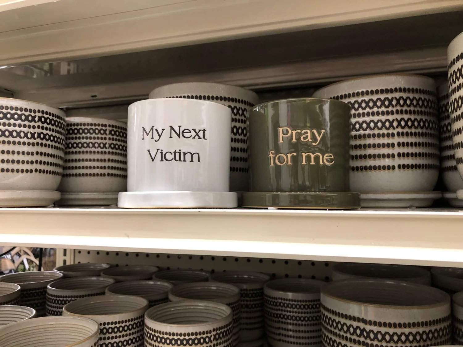 Pots of Laughs: The Best Ceramic Plant Pots with a Sense of Humor