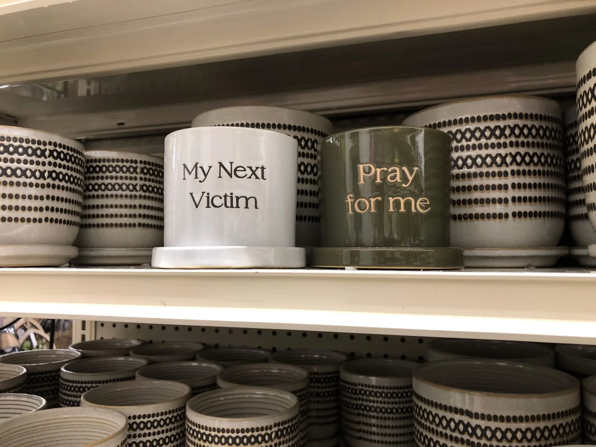 Pots of Laughs: The Best Ceramic Plant Pots with a Sense of Humor