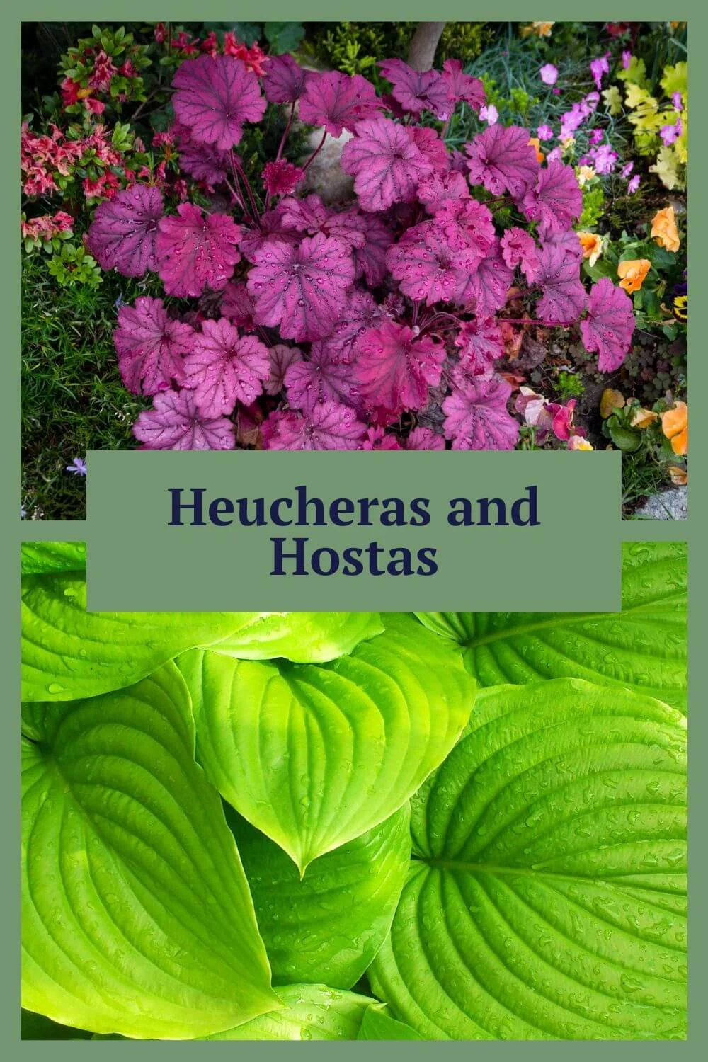 Landscape Border Ideas That Beginners Will Love (And Can Actually ...