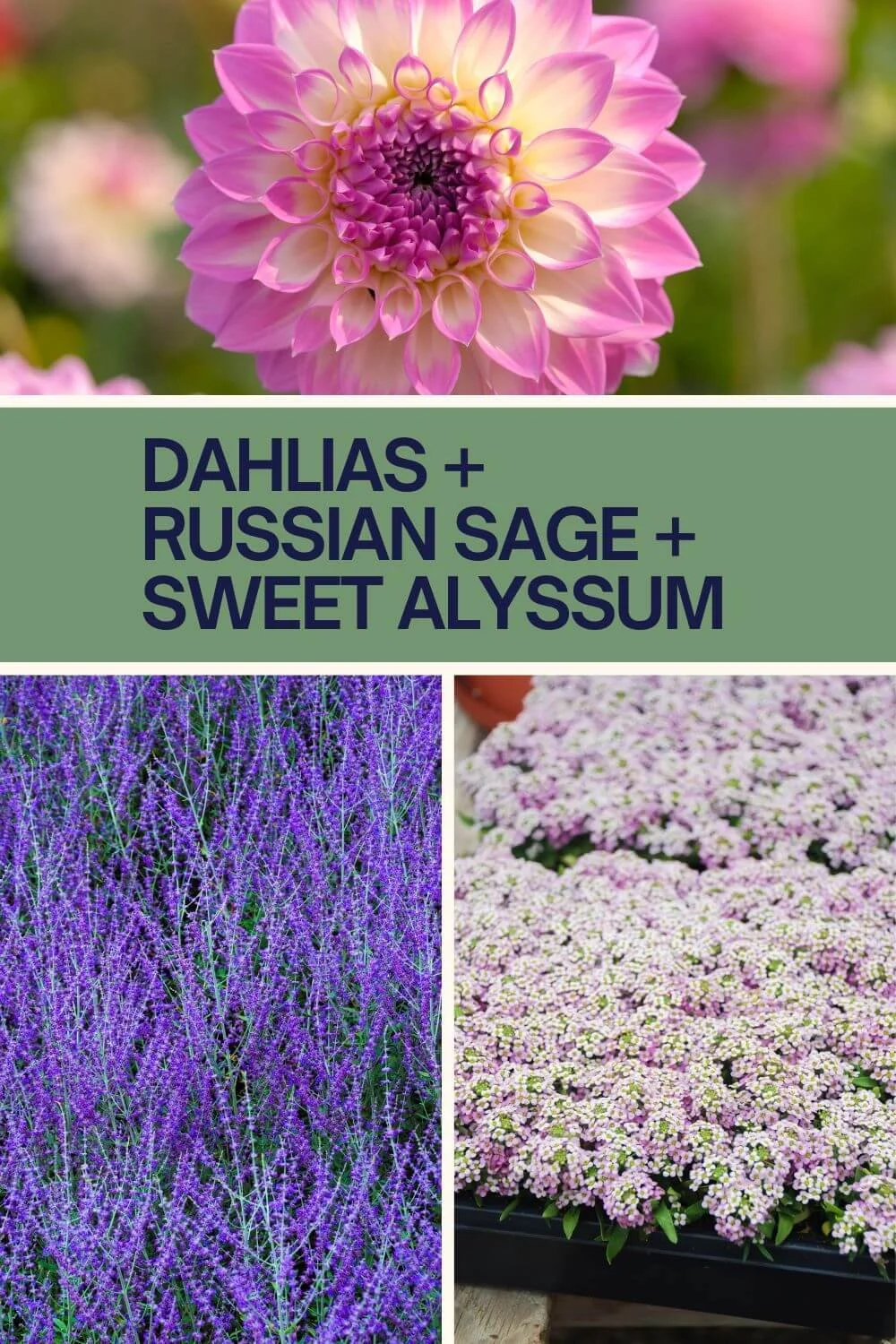 Plant This with That: Flower Pairings for a Gorgeous Garden