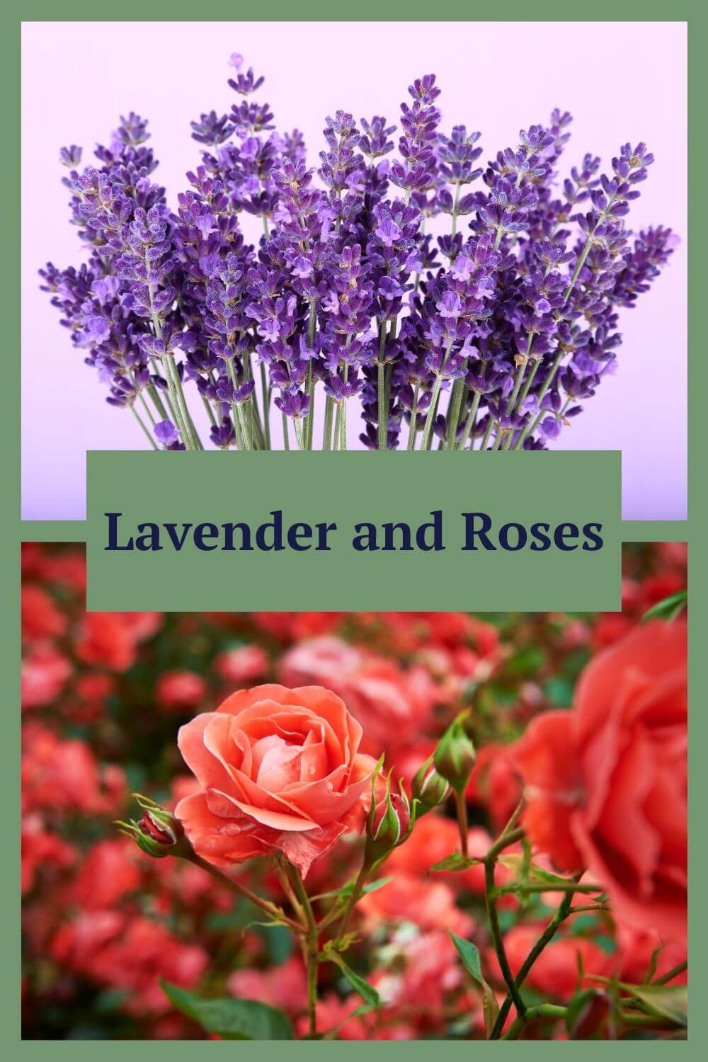 Landscape Border Ideas That Beginners Will Love (And Can Actually ...