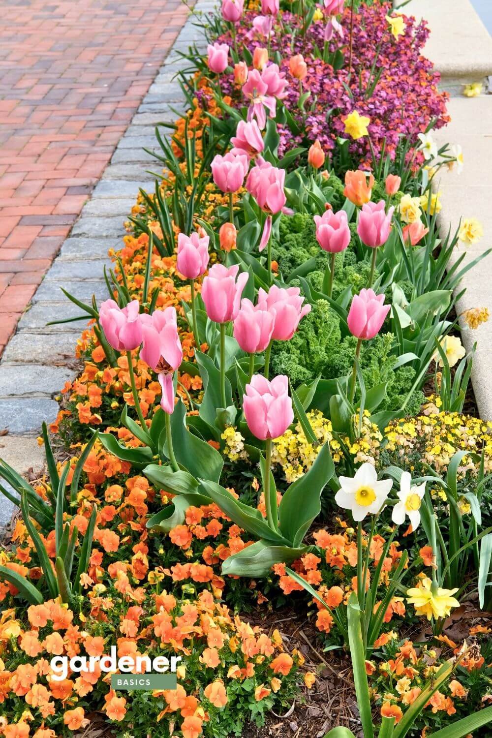 Flower Bed Layout Basics: Creating a Beautiful and Functional Garden