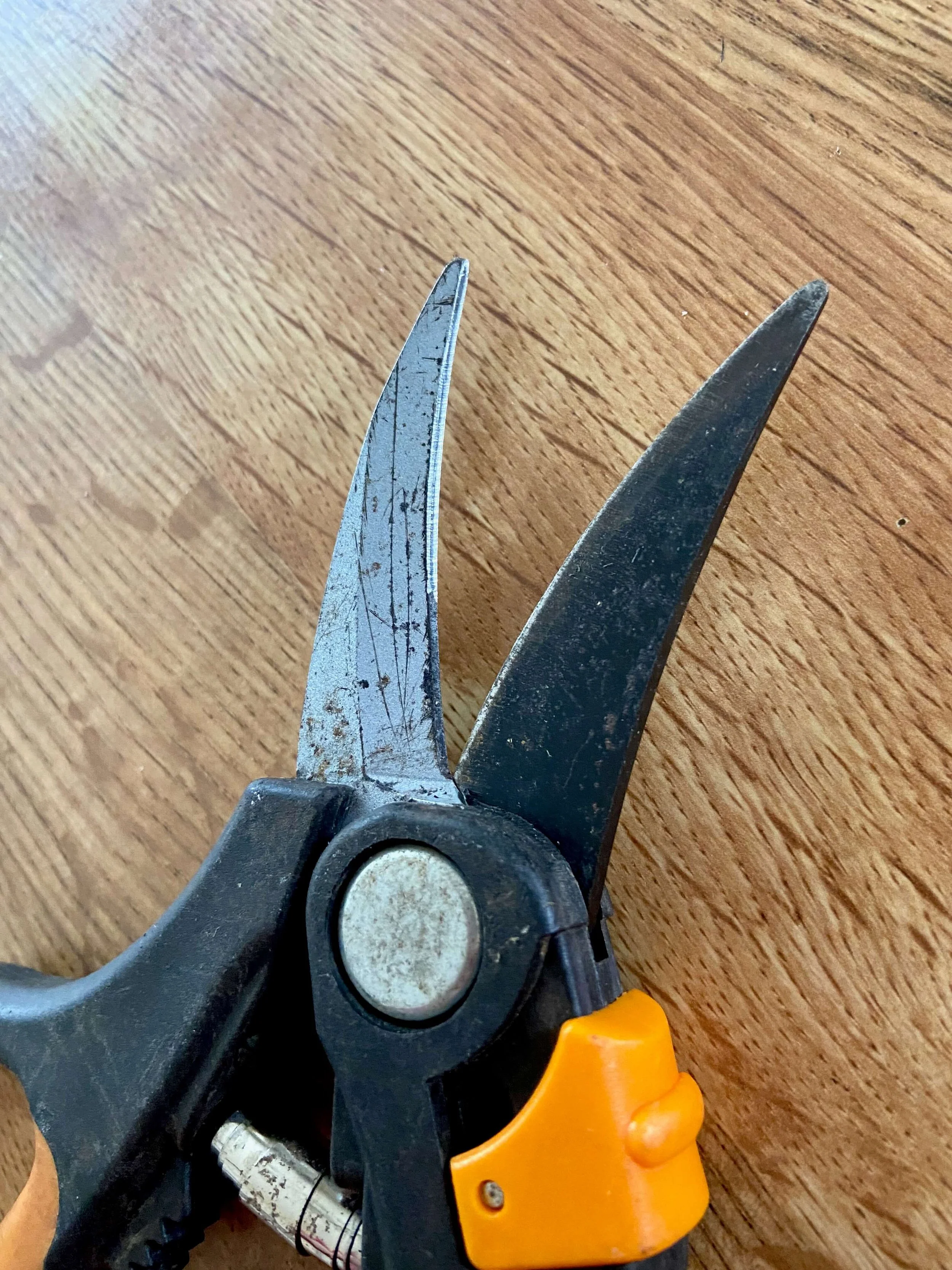 The Best Way to Keep Your Gardening Tools Sharp: A Review of SHARPAL