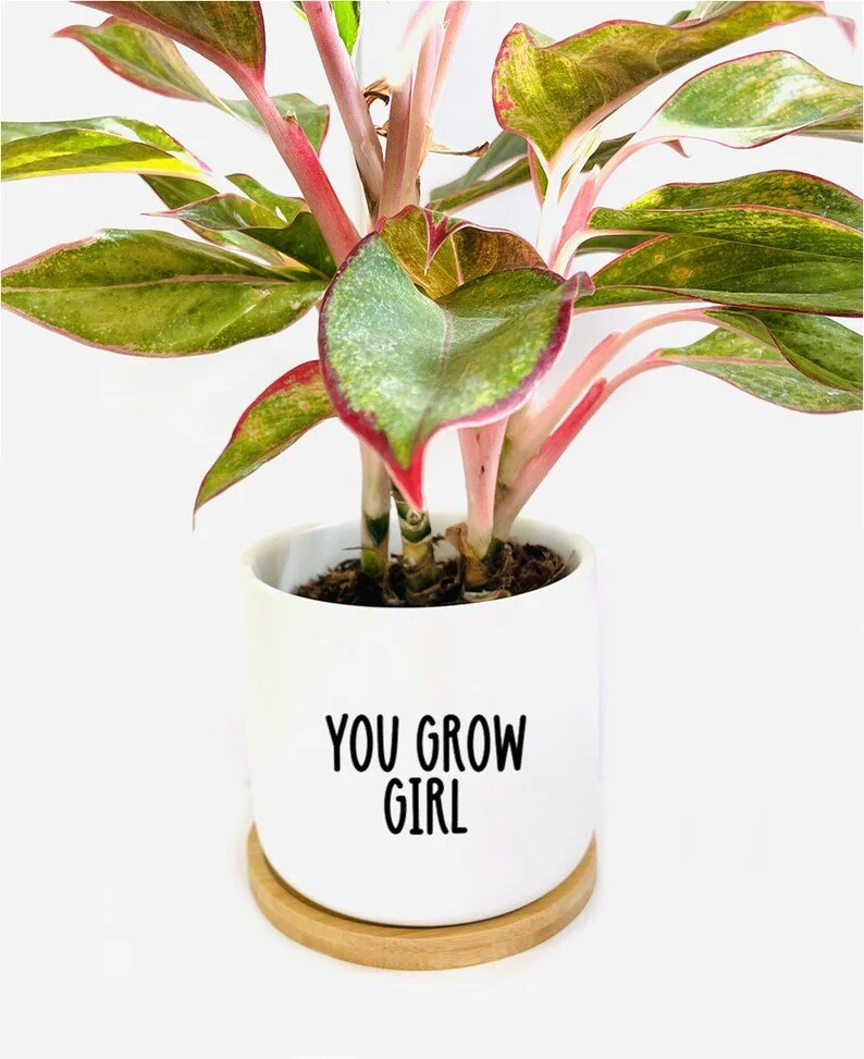 Pots of Laughs: The Best Ceramic Plant Pots with a Sense of Humor