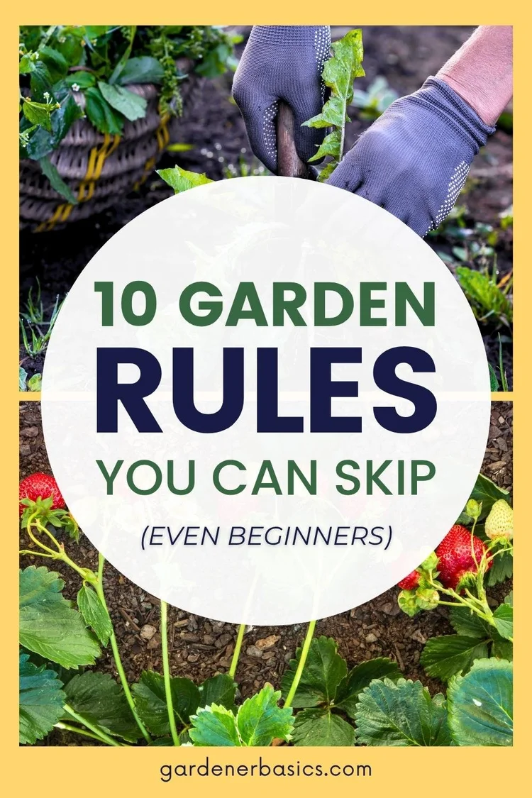 10 Common Garden Rules You Should Ignore (and What to Do Instead)