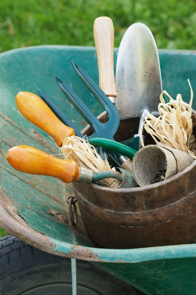 Garden Tools for Beginners: A Complete Guide