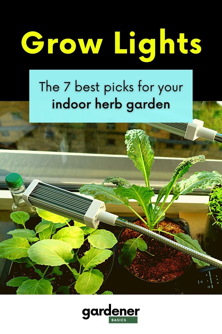 The Best Grow Lights for Herbs: A Comprehensive Review