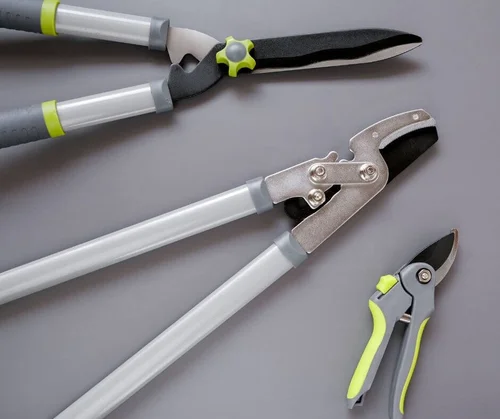 The Ultimate Guide to Pruning Tools: What You Need to Get Started