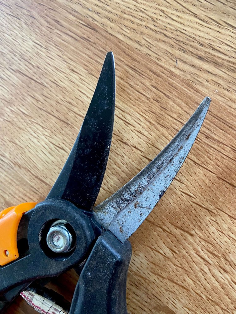 The Best Way to Keep Your Gardening Tools Sharp: A Review of SHARPAL