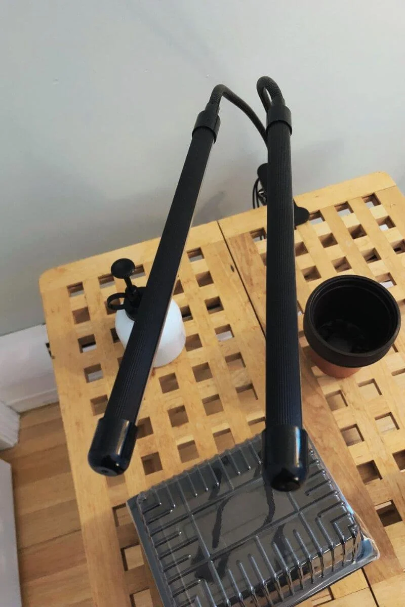 Seed Starting Simplified: The Essential Indoor Setup for Beginners