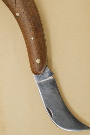 The Ultimate Guide to Pruning Tools: What You Need to Get Started