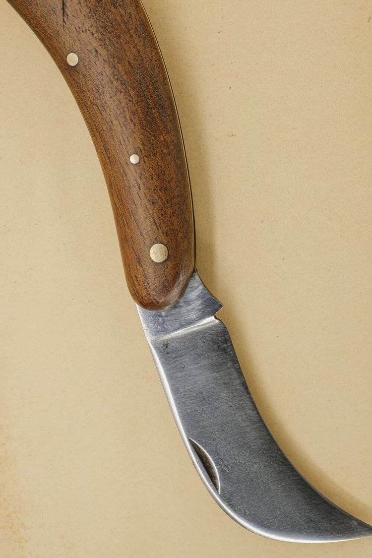 The Ultimate Guide to Pruning Tools: What You Need to Get Started