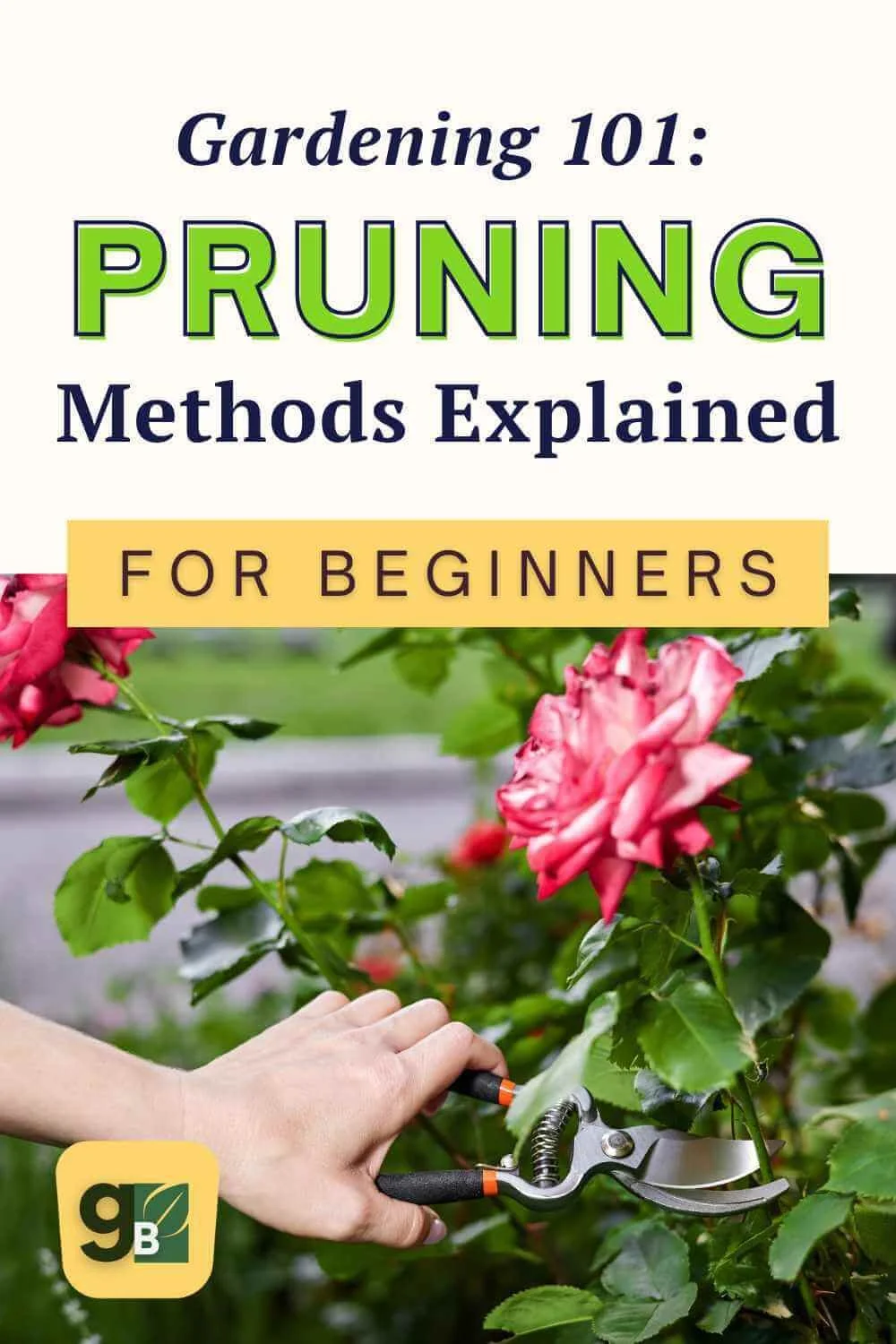 Deadheading to Topping: Understanding Different Pruning Methods