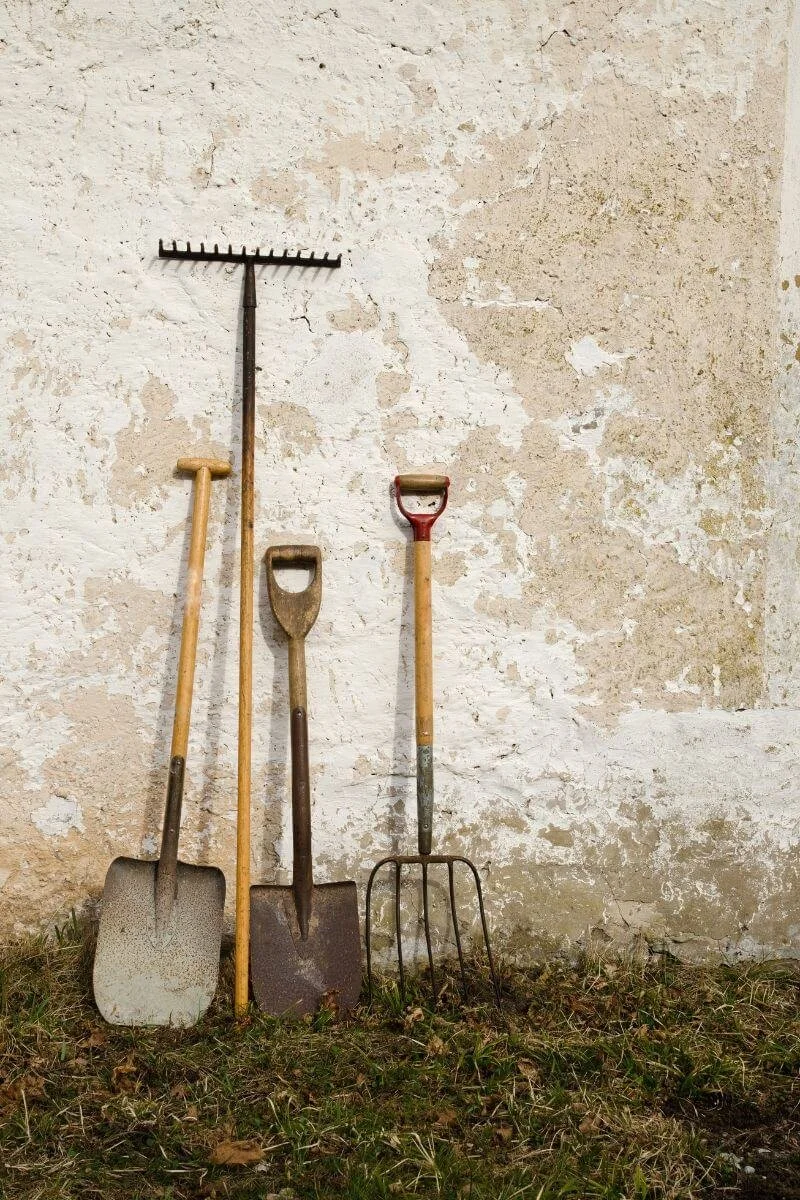 Garden Tools for Beginners: A Complete Guide