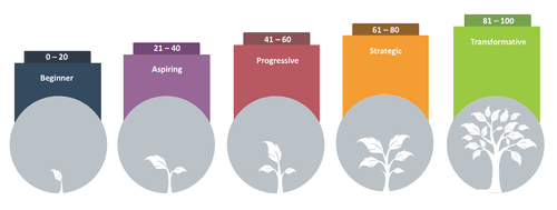 Tools & Technology - Customer Centricity Maturity Model — Become ...