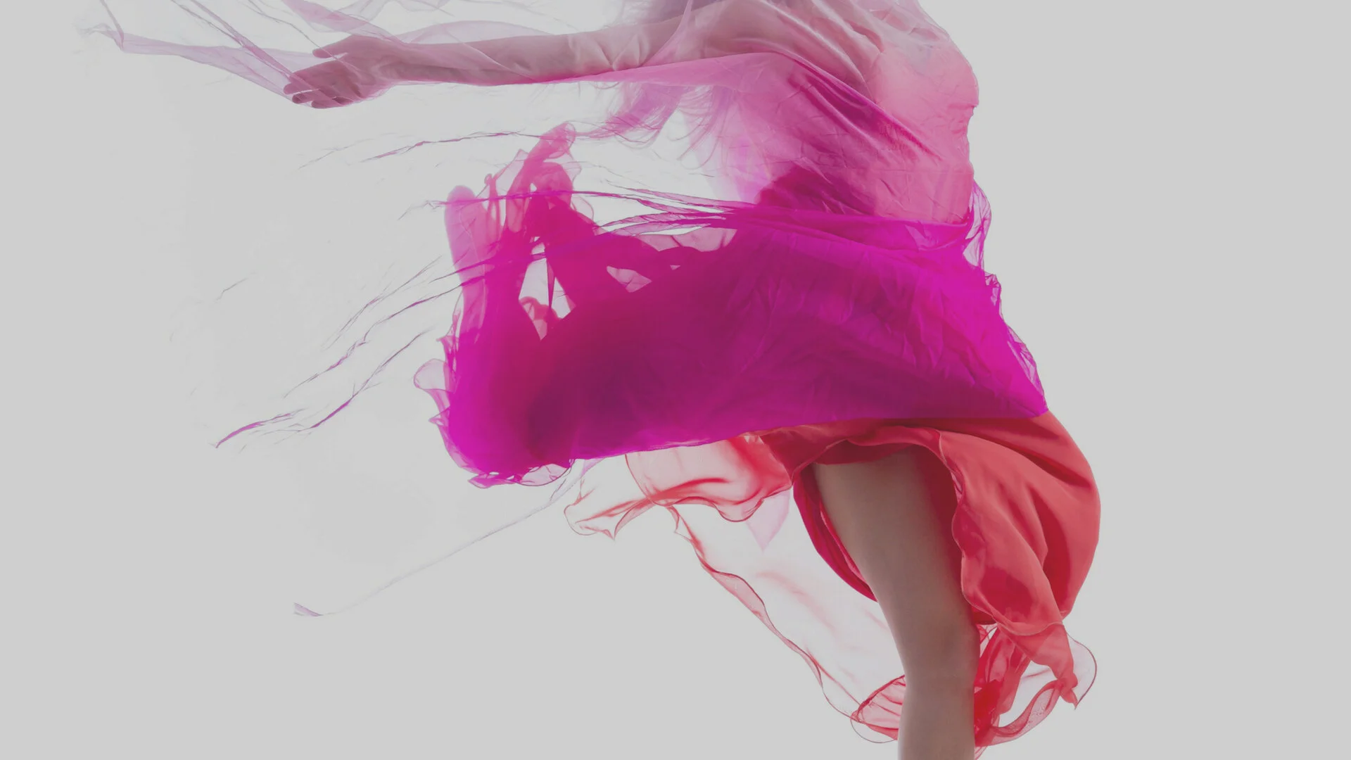 The Dance Studio Network