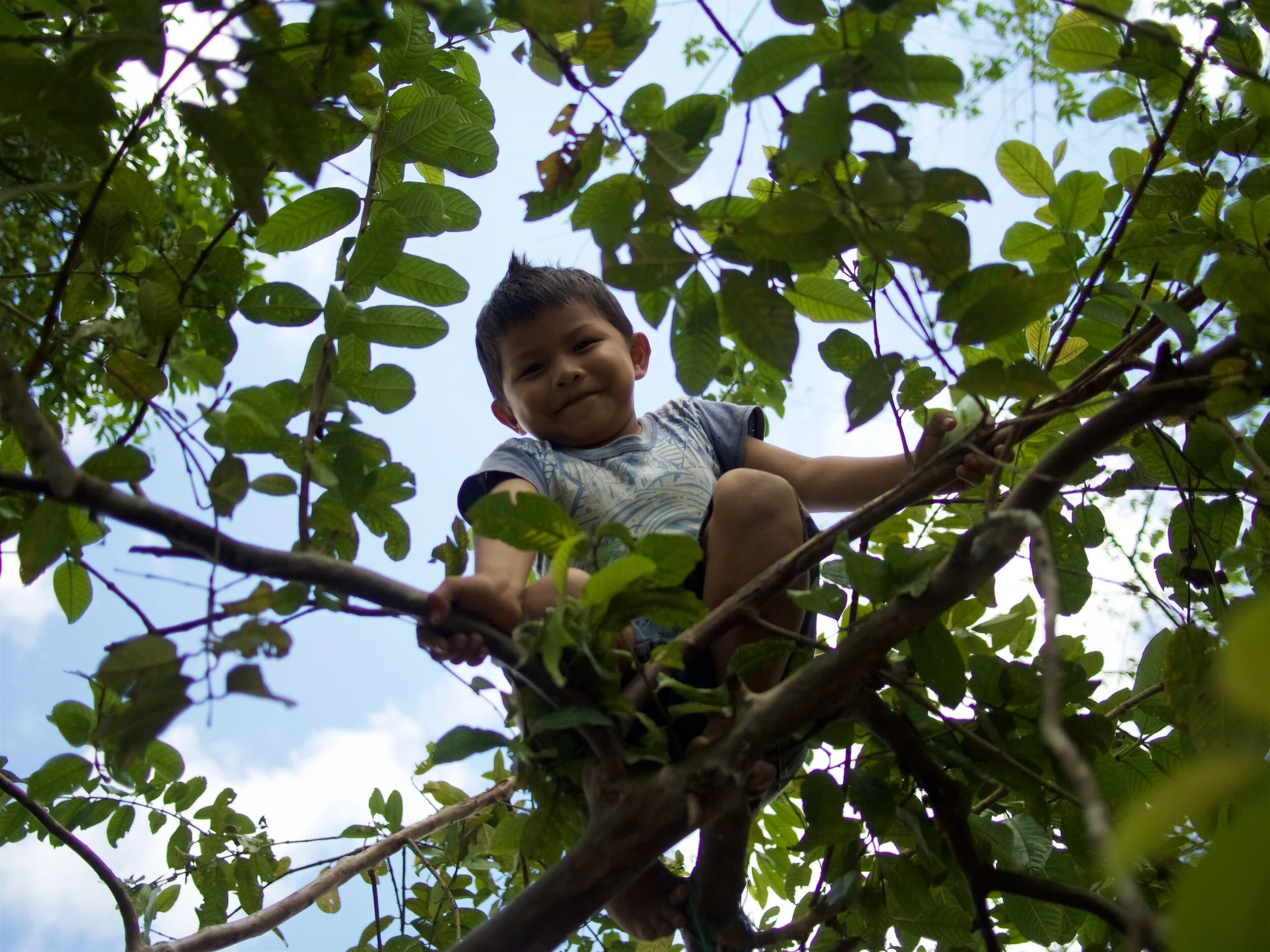 Farmacia Viva Shipibo Sanken Yaka