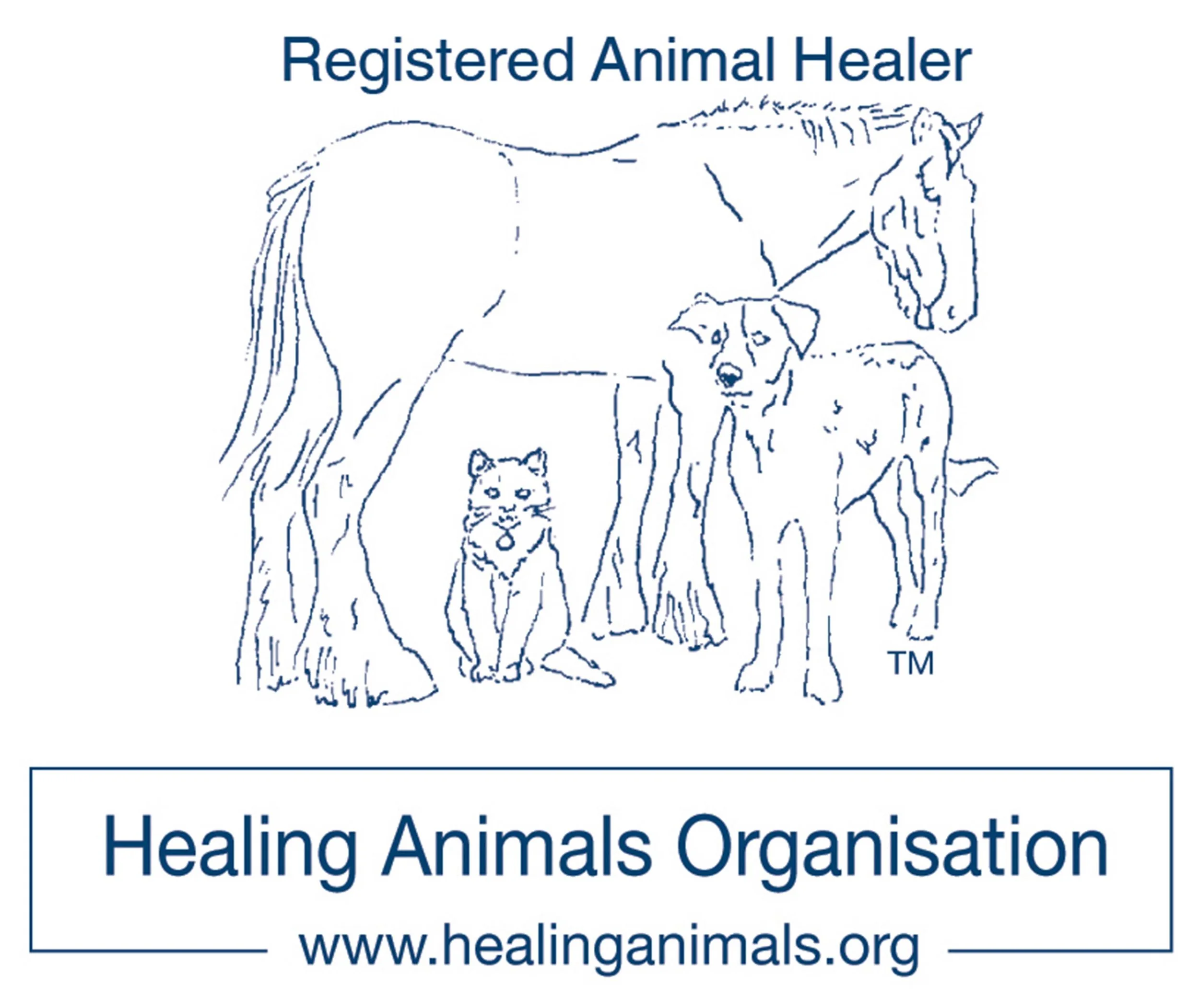 Anne De Bels - Healing Animals Anne