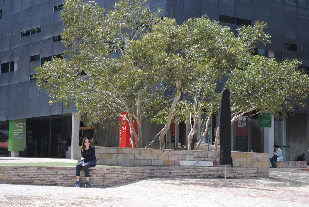 About — Healthy Streets