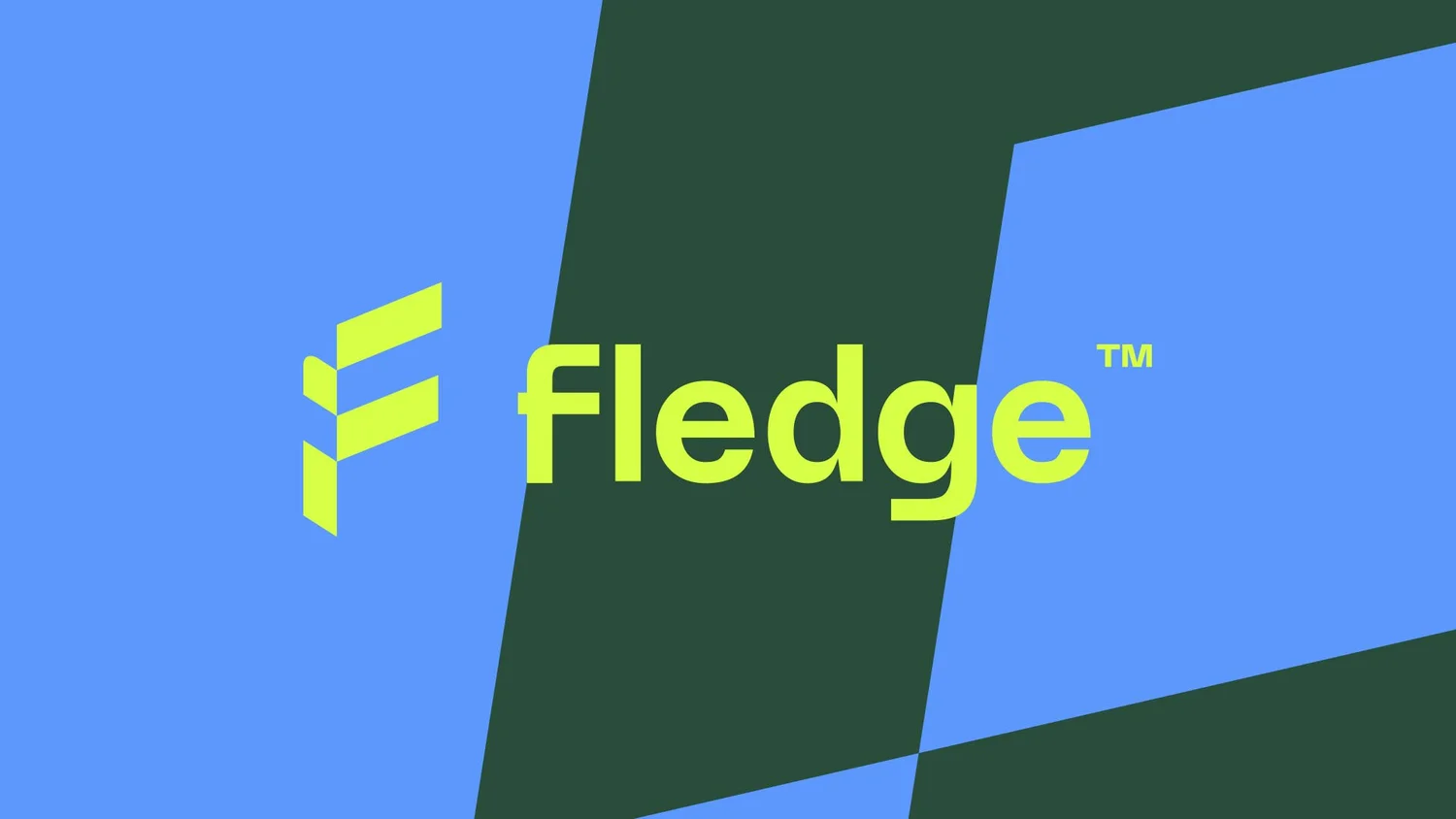 Fledge, the people strategy company — Studio Chong