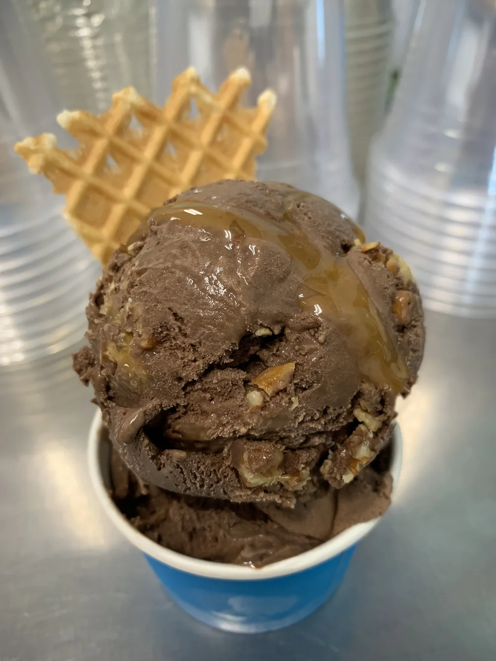 About 1 — Frozen Frog Home Page