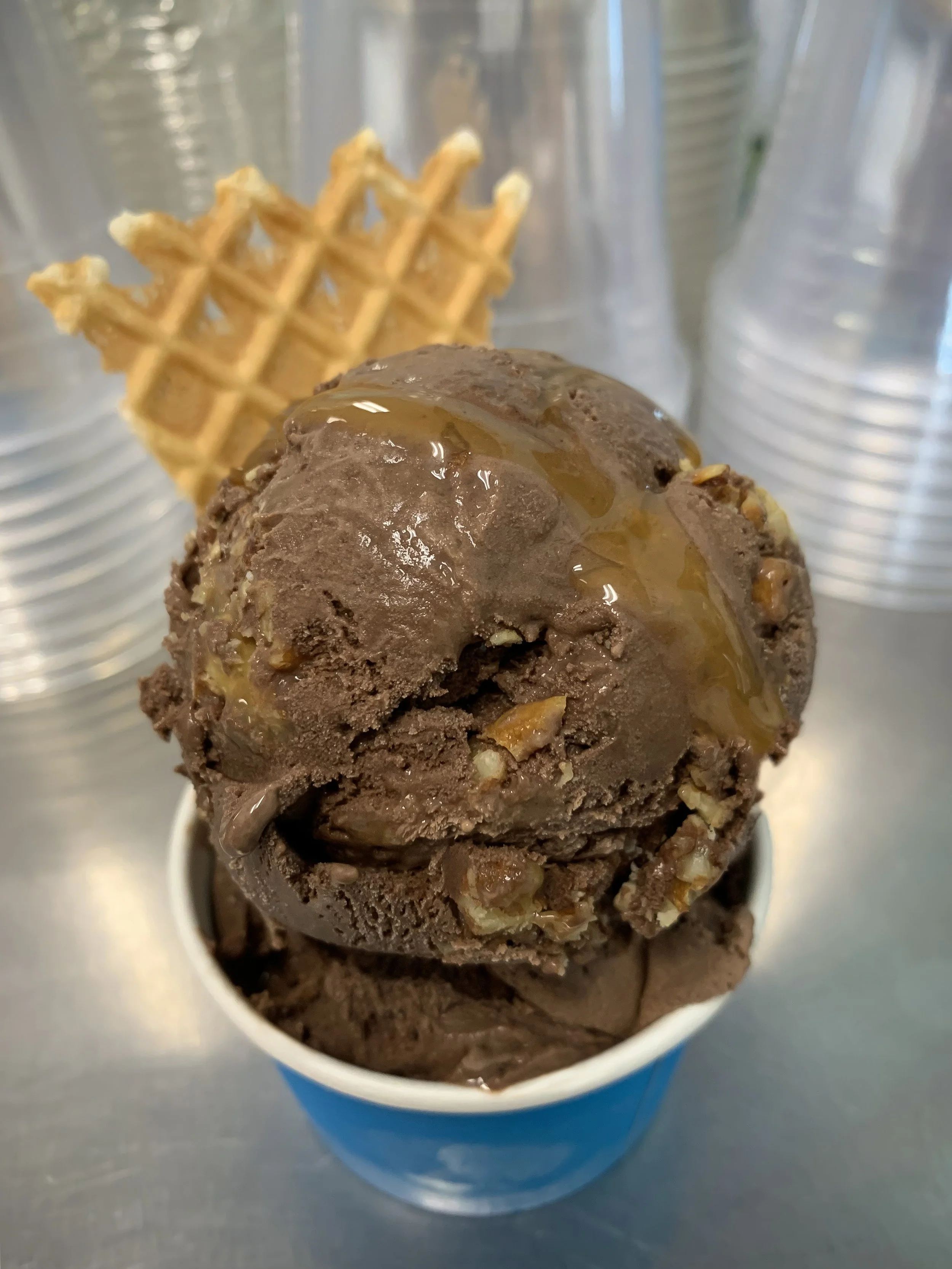 About 1 — Frozen Frog Home Page