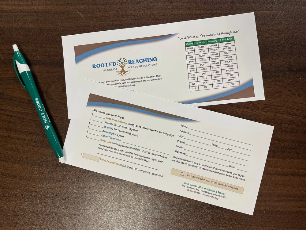 Rooted Reaching Holy Cross