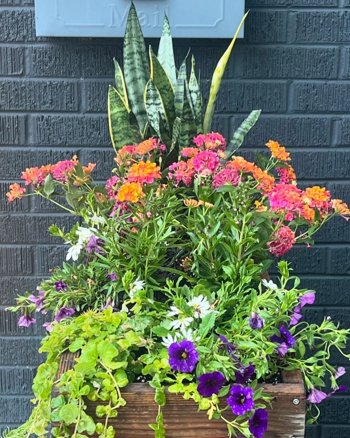 HEIRBLOOM POTTED CREATIONS