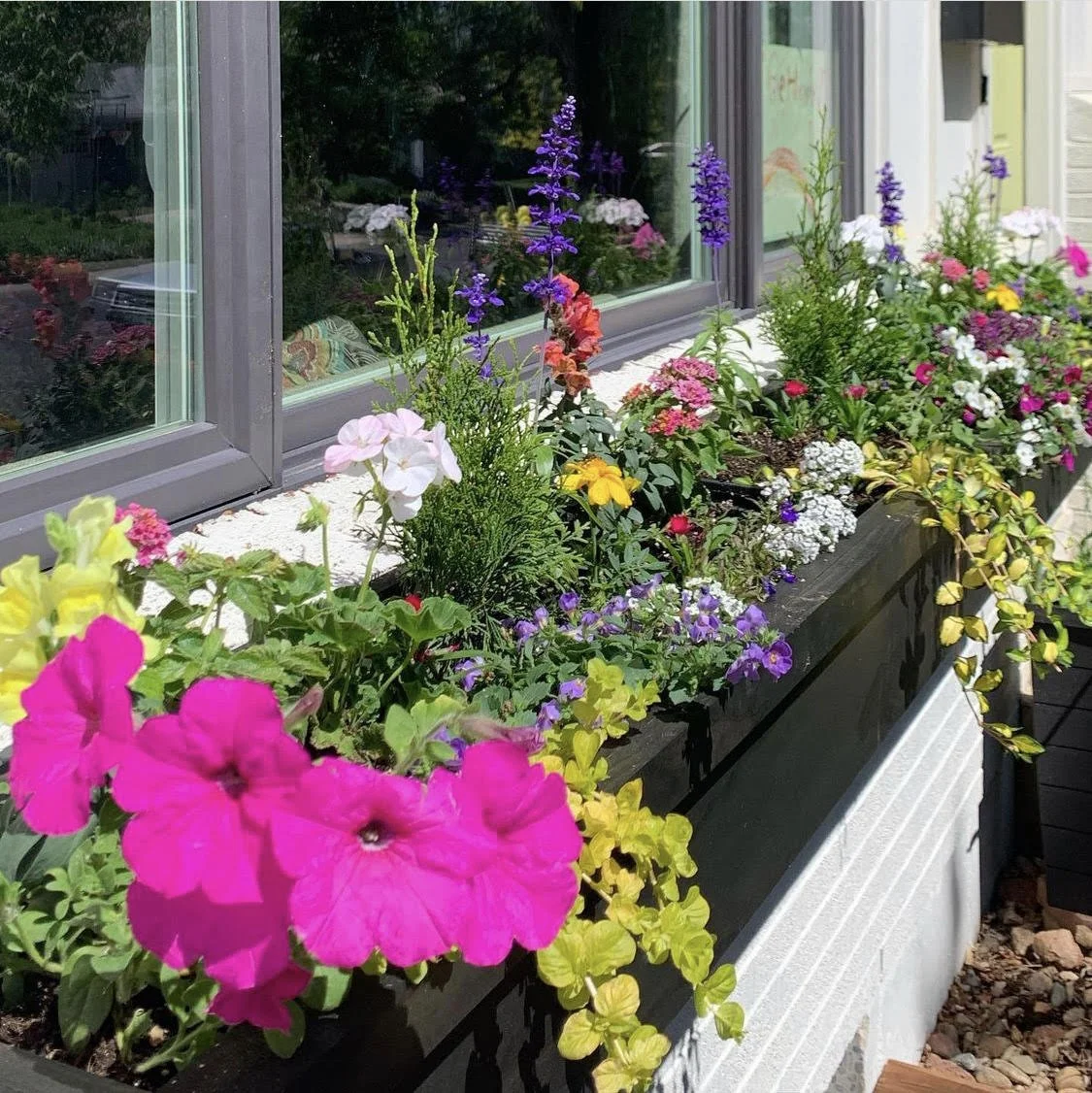 Gallery — HEIRBLOOM POTTED CREATIONS