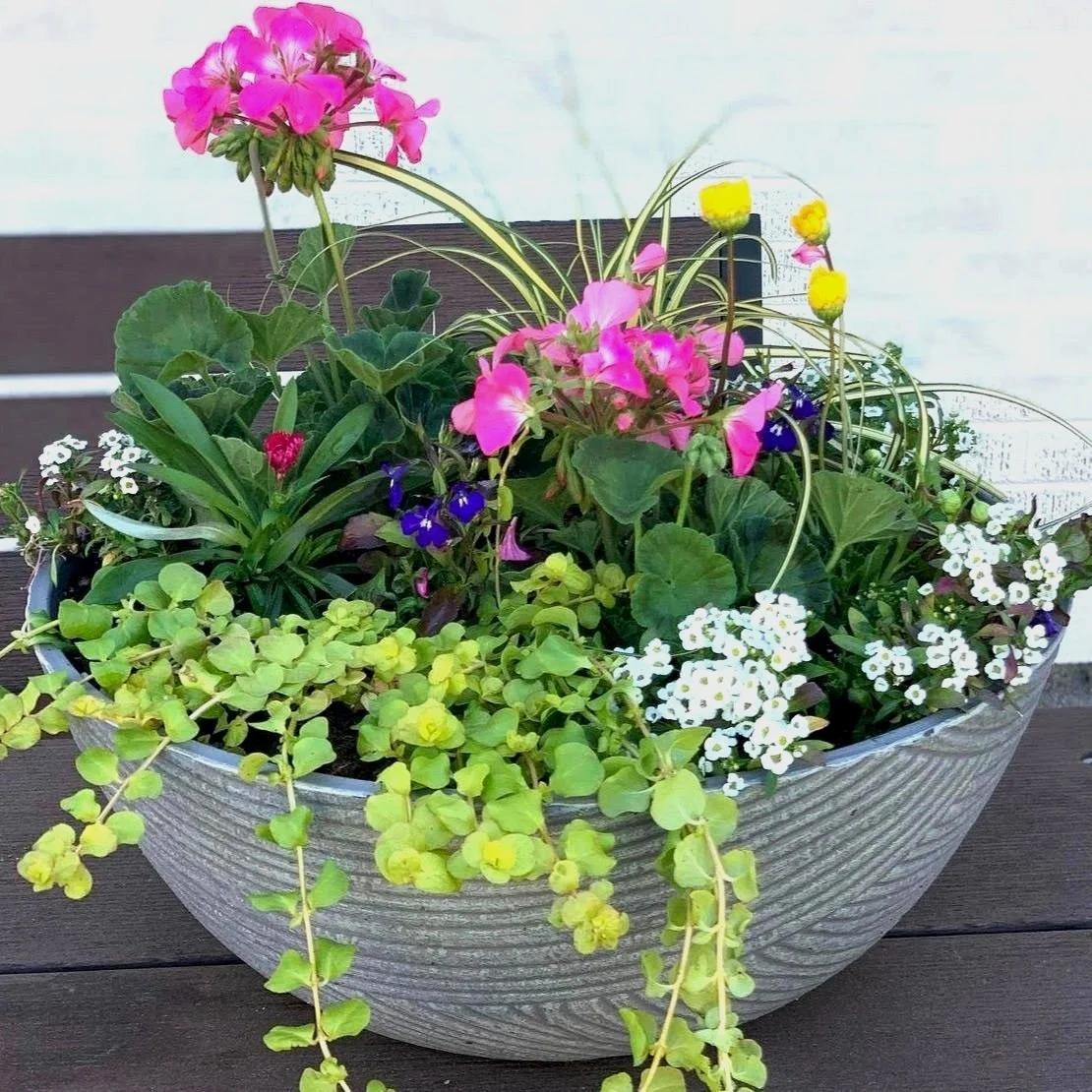 HEIRBLOOM POTTED CREATIONS