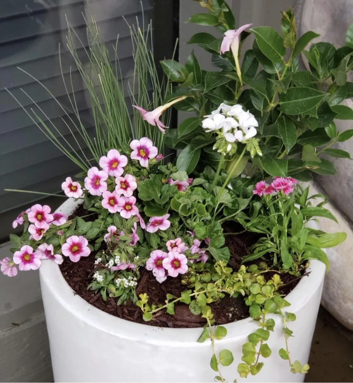 Gallery — HEIRBLOOM POTTED CREATIONS