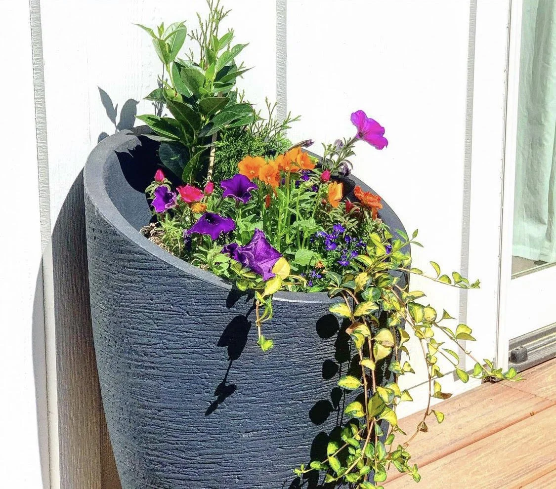 Gallery — HEIRBLOOM POTTED CREATIONS